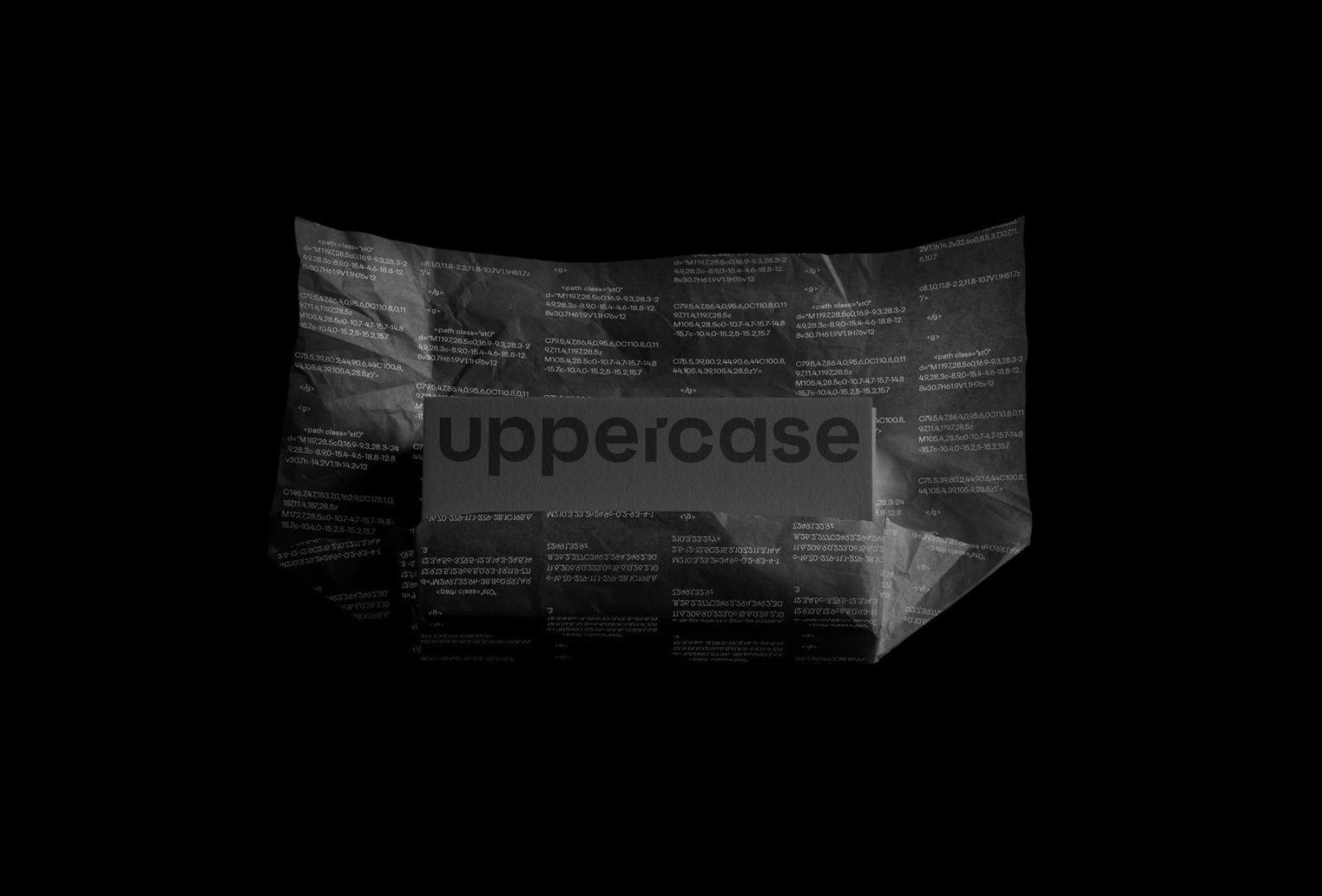 Behind Brands™: An interview with Marion Murvine from… — Brandpad™